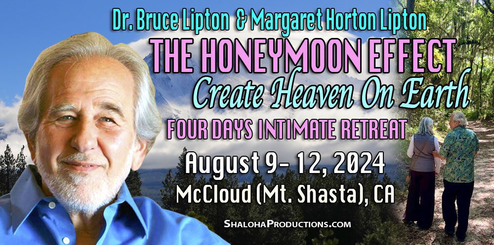 The Honeymoon Effect: Create Heaven on Earth - Bruce H. Lipton, PhD